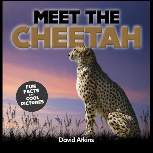 Cheetah Facts
