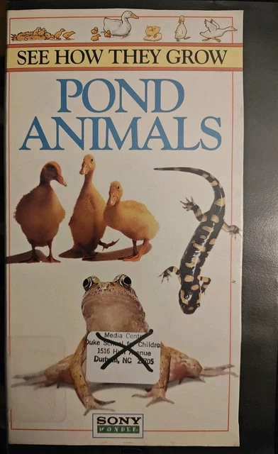 SEE HOW THEY Grow Pond Animals (VHS, 1994) Sony Wonder £15.21 - PicClick UK