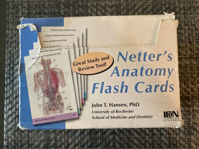 Netters Anatomy Flash Cards Eur 1083 Picclick Fr