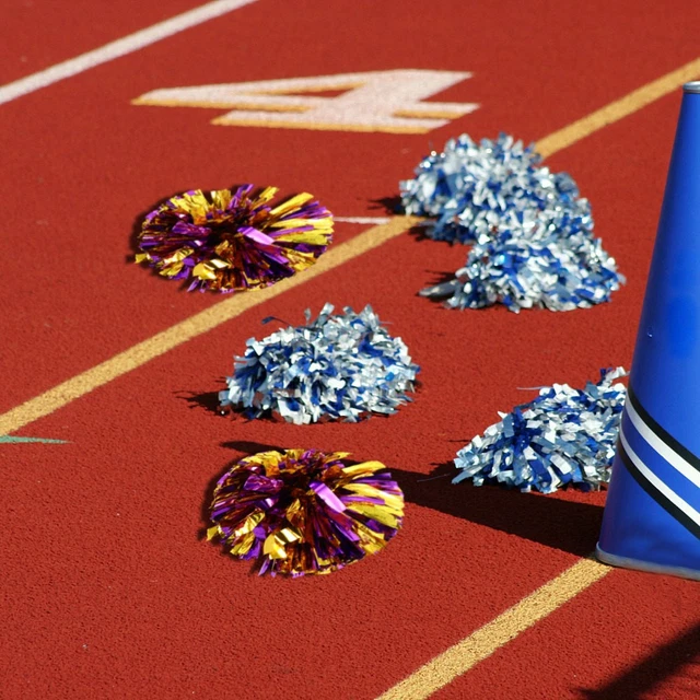 4 STÜCK METALLIC Folie Cheerleader Pom Poms Jubel Pompons Cheerleading ...