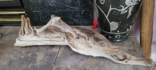 GIANT DRIFTWOOD PIECE From LAKE SUPERIOR Hand Picked £38.12 - PicClick UK