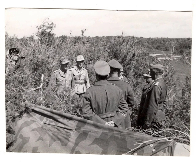 PORTRAIT AFRIKAKORPS PROPAGANDAKOMPANIE General Gause & Offiziere ...