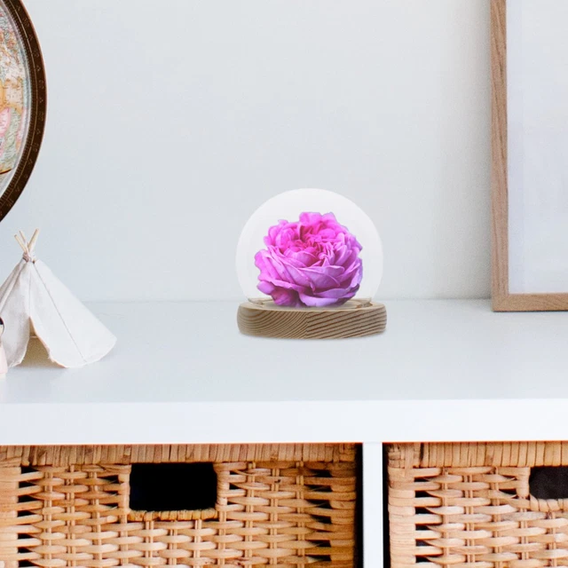 3 PCS PRESERVED Flower Glass Dome Bell Jar Display Case Decorative Jars ...