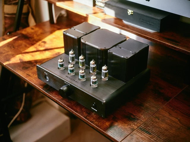 WOO AUDIO GES Electrostatic tube Amp EUR 500,00 - PicClick FR