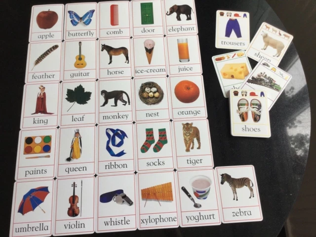 LOWER CASE ALPHABET Flash Cards / classification cards for animals ...