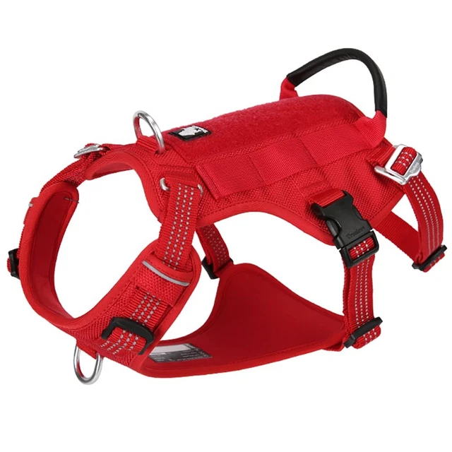 J&C PARADISE PRO Dog Harness, Official Japanese Retailer, Anti-Slip ...