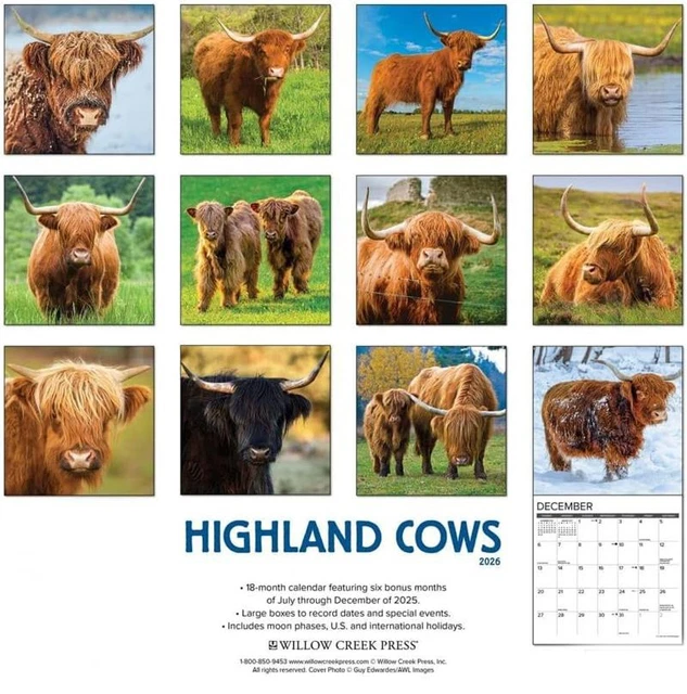 2026 HIGHLAND COW Calendar Wall Monthly Planner Family Home Organiser £ ...