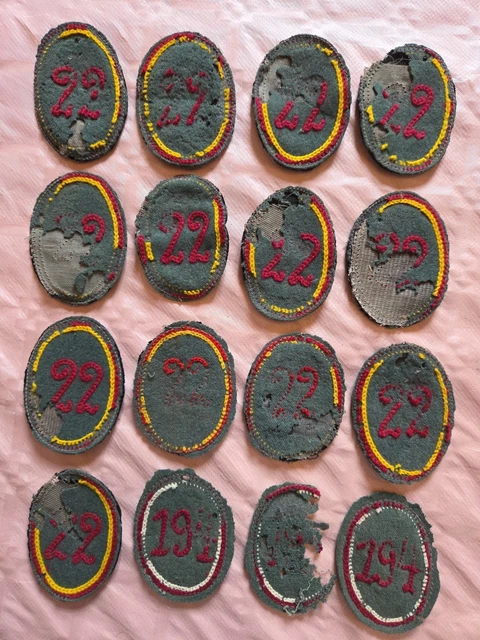 BAYERN ARI FREIKORPS Vorläufige Reichswehr Armspiegel 1919 / 20 ...