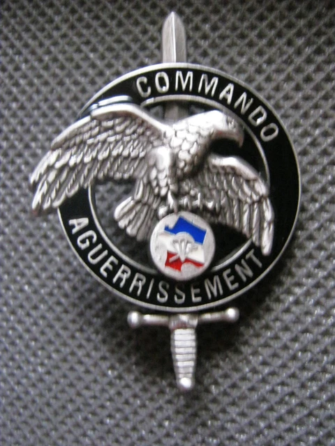 BREVET DES COMMANDOS Du Cnec Commando Aguerrissement (Argente) Y ...