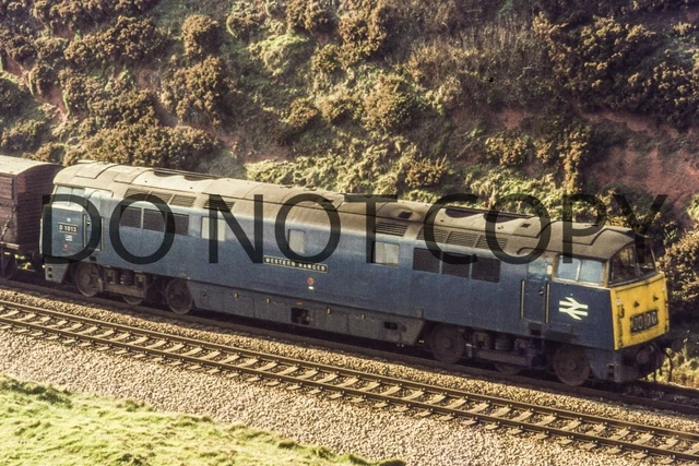 UK DIESEL TRAIN Railway Photograph Of Class 52 Western D1013 Loco ...