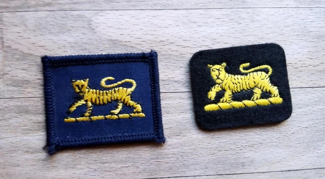 2 X PRINCESS of Wales Royal Regiment patch badges, British army ...