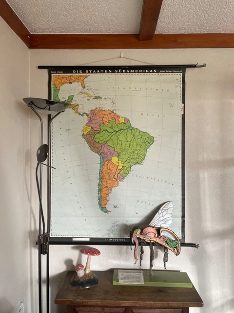 VINTAGE SOUTH AMERICA school map wall map educational poster chart ...