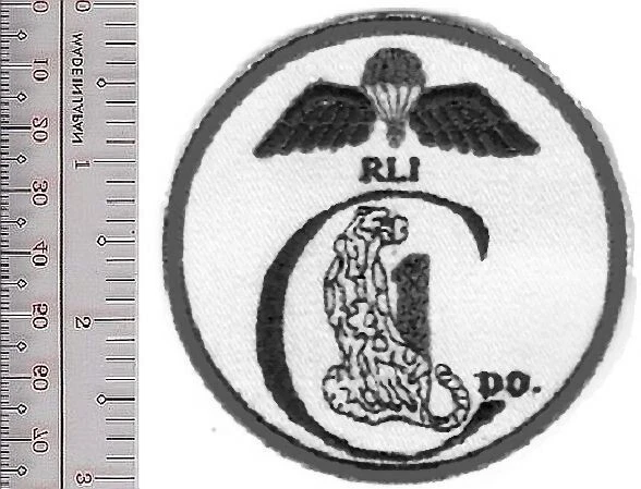 RHODESIA ARMY RHODESIAN Defence Force RDF Light Infantry 1 Commando ...