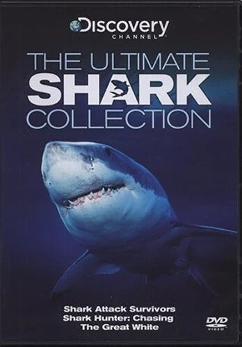 THE ULTIMATE SHARK Collection - Shark Attack Survivors - Chasing the ...