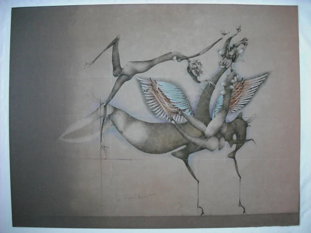 FRÉDÉRIC BOUCHÉ. Original Farblithographie. Signiert und nummeriert. EUR 340,00 - PicClick DE