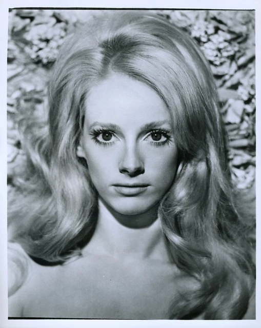 PHOTO ORIGINALE 8X10& Sondra Locke The Outlaw Josey Wales N4158 EUR 22 ...