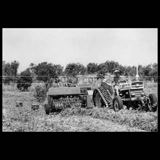 PHOTO A.013755 MASSEY FERGUSON MF 2135 TRACTOR & MF 503 PTO PICK UP ...