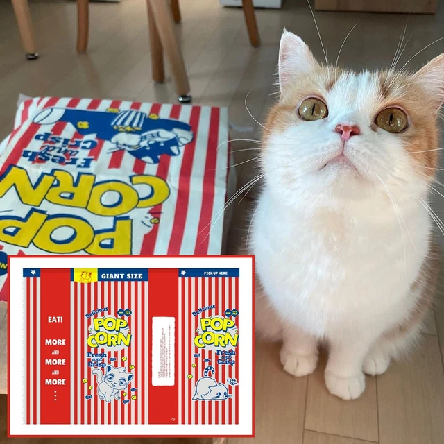 NATURAL PAPER BAGS For Pet Cat Playtime Clean And Pollution-free And ...