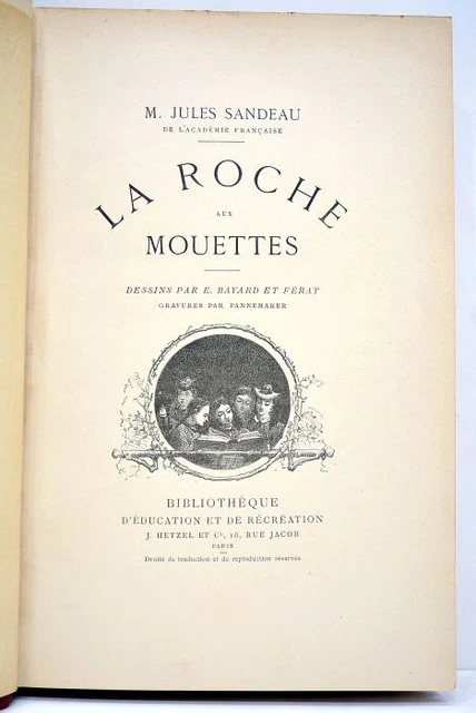 LIVRE ANCIEN SANDEAU La Roche Aux Mouettes Roman 1880 EUR 35,00 ...