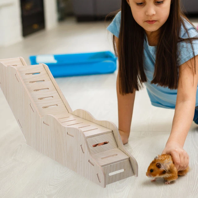 EN BOIS LABYRINTHE De Cobayes Maison Aire Jeux Pour Hamsters EUR 15,55 ...