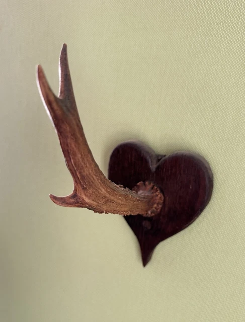 PORTE-FUSIL PATERES EN Bois Et Corne Chasse Taxidermie porte manteaux ...