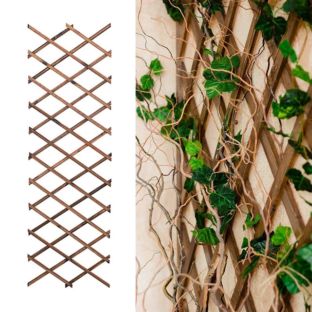 TREILLIS EN BOIS extensible de treillis de jardin de plantes pour EUR ...