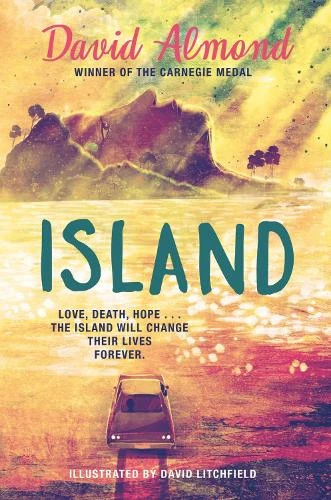 DAVID ALMOND DAVID Litchfield Island (Relié) EUR 10,49 - PicClick FR