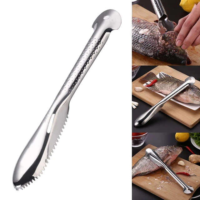 ERGONOMIC STAINLESS STEEL Fish Scale Remover Reliable Tool for ...
