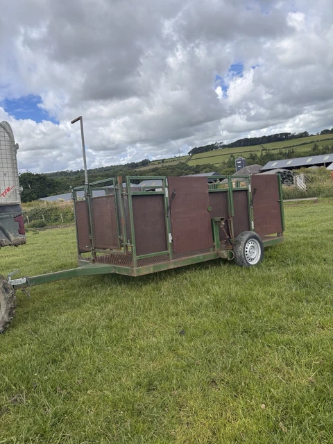 4 STAND SHEARING trailer with drafting race and gate for quad £3,066.70 ...