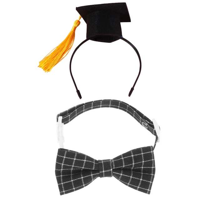 CHAPEAU D'ANNIVERSAIRE DE Chiot Coiffe Médecin Graduation Pour EUR 10 ...