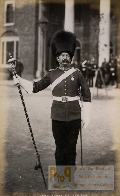 UNITED KINGDOM MILITARY music Sergeant Bugler Royal Engineers Photo ...