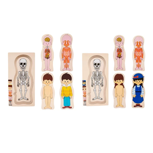 WOODEN HUMAN BODY Puzzle Toys, Human Body Parts Puzzle for Kids ...