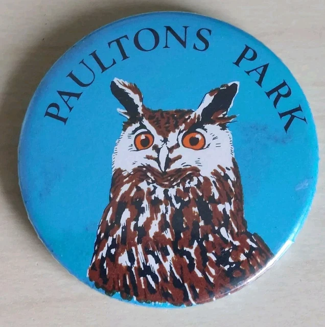PAULTONS THEME PARK, HAMPSHIRE, Vintage Collectors Pin Badge, Owl ...