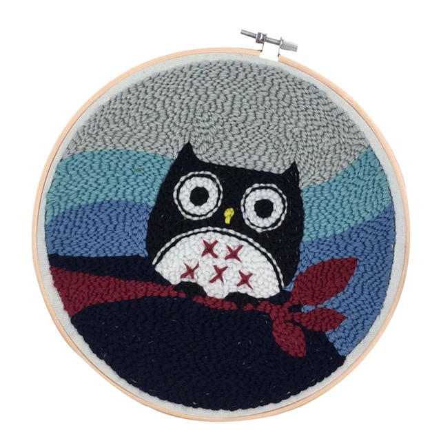 DIY BEGINNER EMBROIDERY Kit Punch Needle Kits Stitch for Adults Easy ...