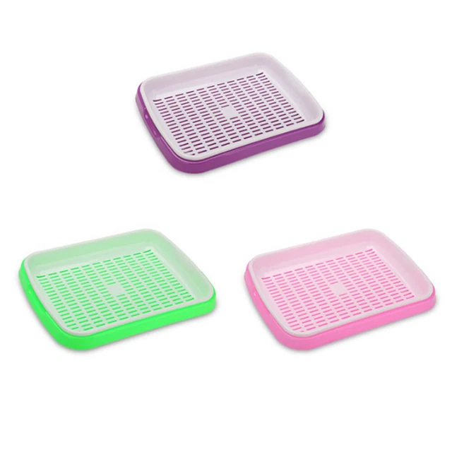 FOOD GRADE PREMIUM Stable With Six Supports Wheatgrass Grower £10.54 ...