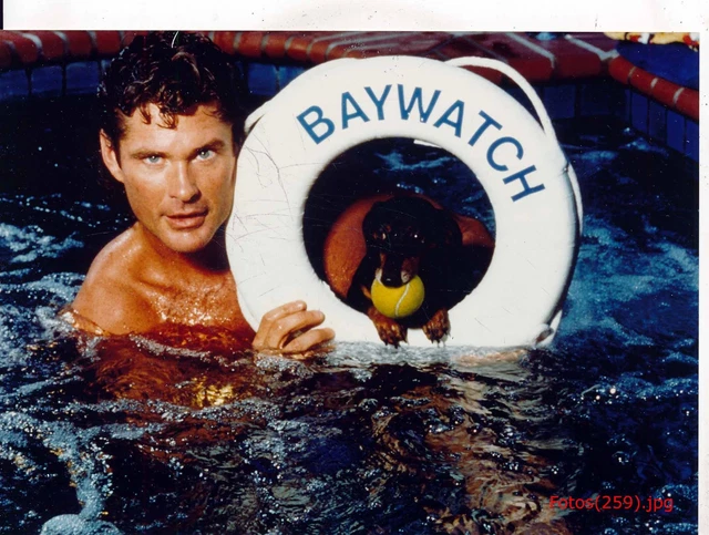 DAVID HASSELHOFF, SCHAUSPIELER - Baywatch - 3 Pressefotos - Farbe ...