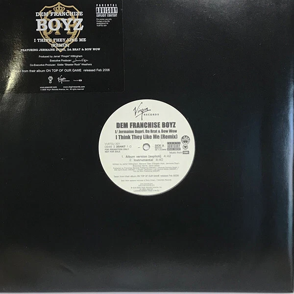 DEM FRANCHIZE BOYZ - I Think They Like Me (Remix) (12", Promo) EUR 16 ...