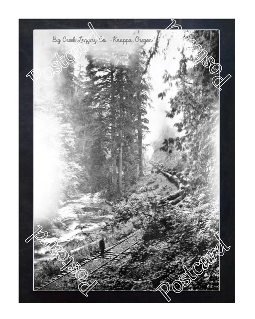 HISTORIC BIG CREEK Logging Co. - Knappa, Oregon Train Postcard 2 $6.00 ...