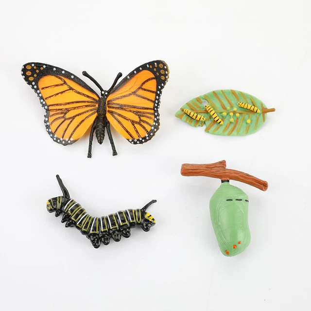 SIMULATION LIFE CYCLE Figurine Monarch Butterfly Growth Educational ...