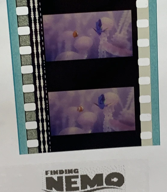 DISNEY/PIXAR ANIMATION AUTHENTIC Film 5-Cell Strip FINDING NEMO Turtles ...