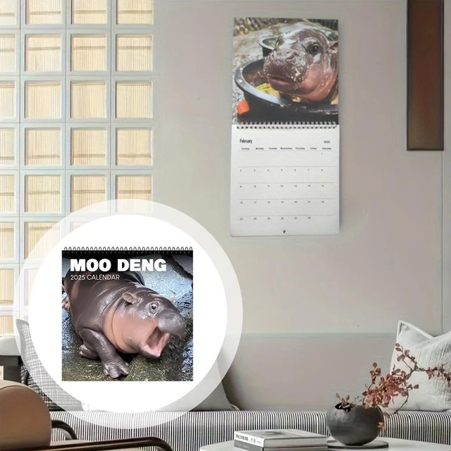 NEW MOO DENG Calendar, 2025 Moo Deng Pygmy Hippo Monthly Wall Calendar ...