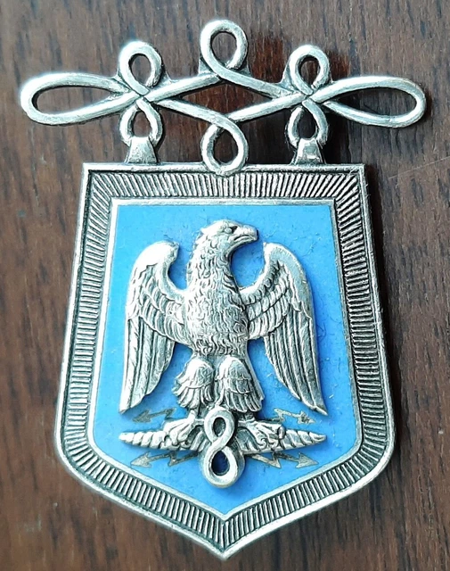 8TH RH REGIMENT OF HUSSARS Badge Sabretache Eagle Empire Cavalry £13.38 ...