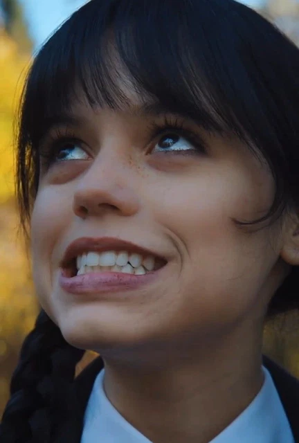 WEDNESDAY ADDAMS JENNA ortega Addams Family/Tim Burton Netflix A4 ...