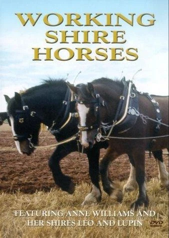 WORKING SHIRE HORSES [DVD] £3.95 - PicClick UK