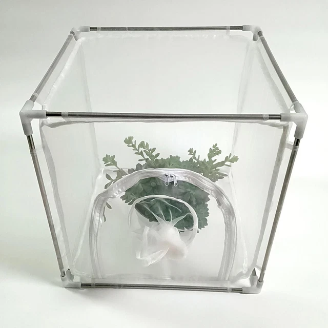 BUTTERFLY HABITAT MESH Cage Growing Habitat Large Observation Plant ...