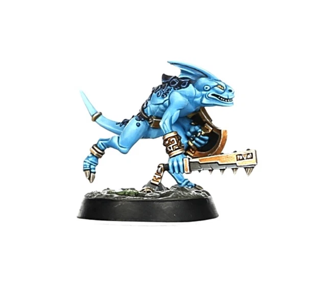 WH AOS WARCRY Starblood Stalkers Hunters of Huanchi Skink warrior ...