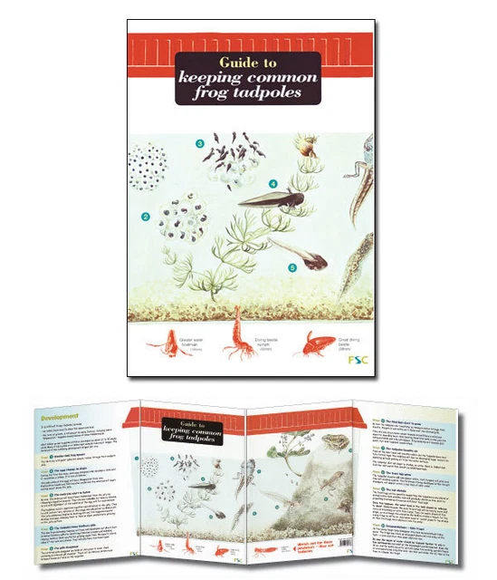 GUIDE TO KEEPING Frog Tadpoles Laminated Identification Chart Field ...
