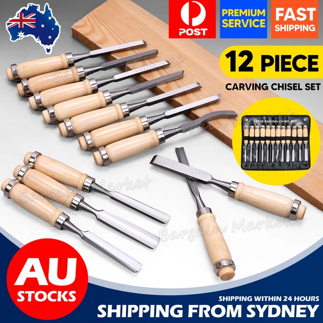 12 PIECE WOOD Carving Hand Chisel Tool Kit Set Wood Working Whittling ...