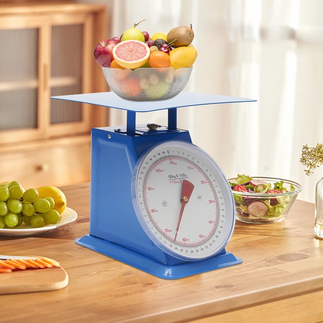 PORTION-CONTROL MECHANICAL FOOD Scale Industrial Dial Scale Iron ...