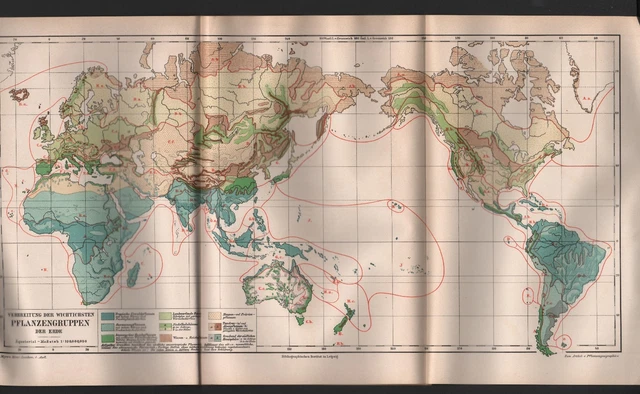 LANDKARTE MAP 1896: Verbreitung der wichtigsten Pflanzengruppen der ...